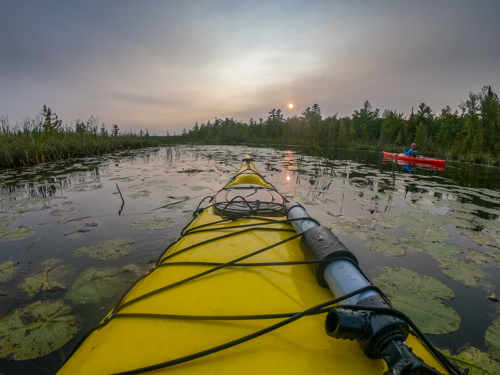 Vol. XX – #169 – Paddling the Cedar River – The Leland Report
